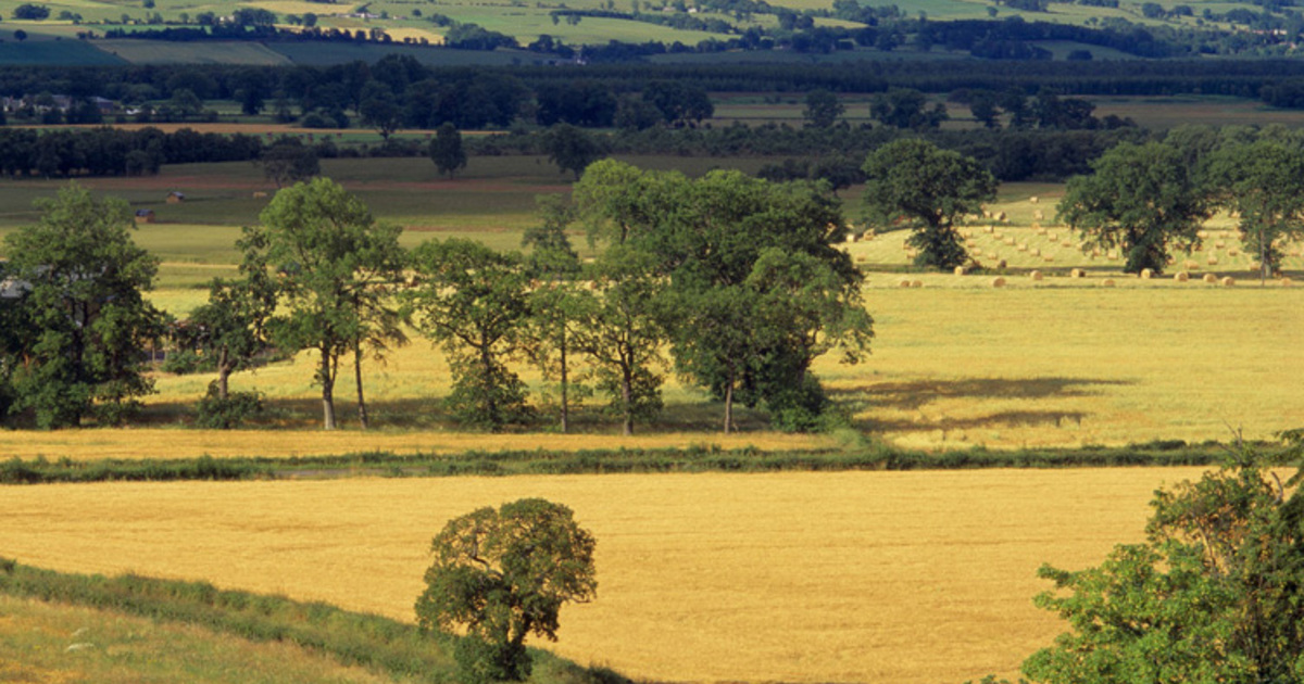 Agricultural & Rural Briefing | WJM Solicitors Scotland